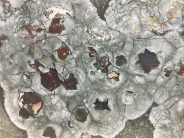 STONESHOP - Australischer Rhyolith